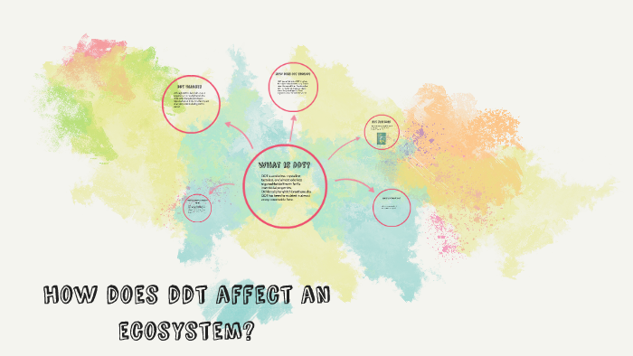 how does ddt affect an ecosystem? by emily colwick on Prezi