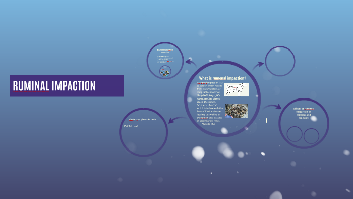 RUMINAL IMPACTION by on Prezi