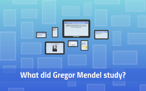 What did Gregor Mendel study and why? by Kai Andrews on Prezi