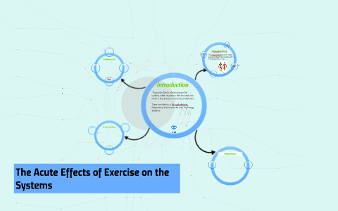 The Acute Effects of Exercise on the Systems by Jordan Webber on Prezi