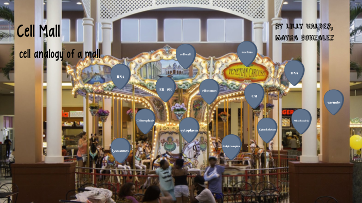 cell mall by Mayra Gonzalez on Prezi
