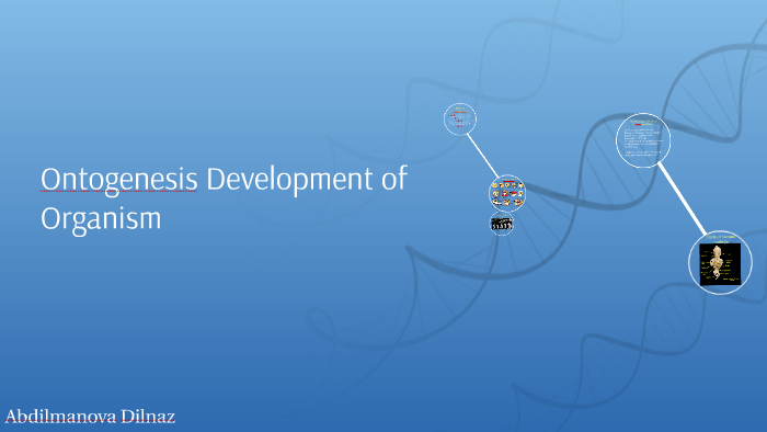 ontogenesis development of organism by Altynai Abdilmanova on Prezi