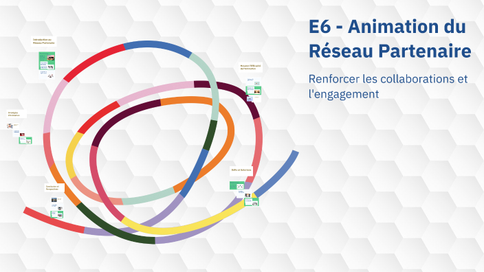 E6 - Animation du Réseau Partenaire by manon alric on Prezi