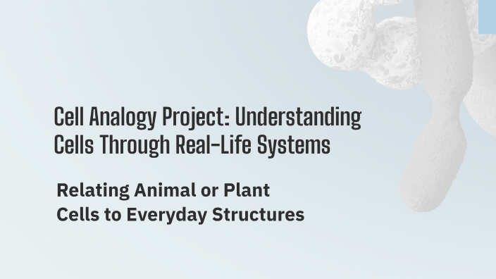 Cell Analogy Project: Understanding Cells Through Real-Life Systems by ...