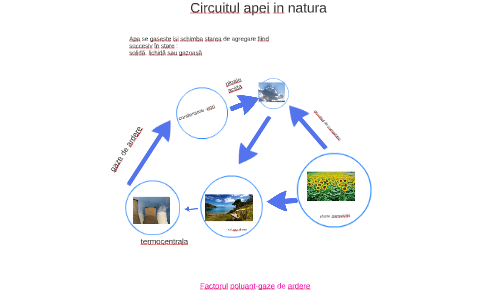 Circuitul apei in natura by Aioanei Gabriela on Prezi