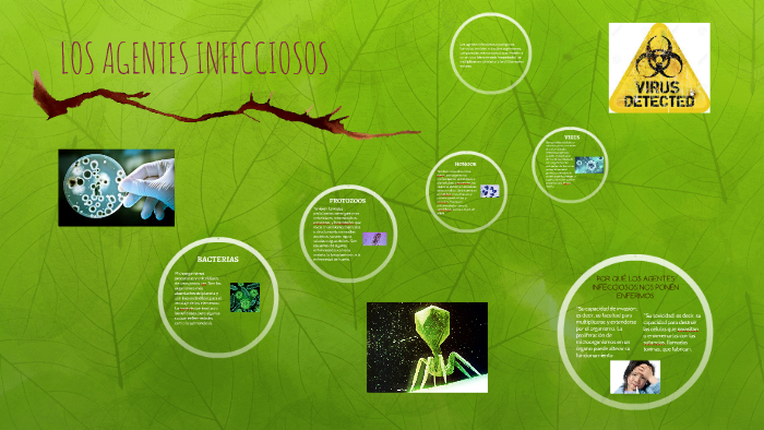 LOS AGENTES INFECCIOSOS by Elena Maestro Ramos on Prezi