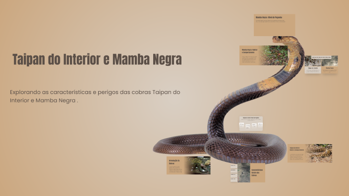 Seminário sobre Cobras: Taipan do Interior e Mamba Negra by Brendo ...