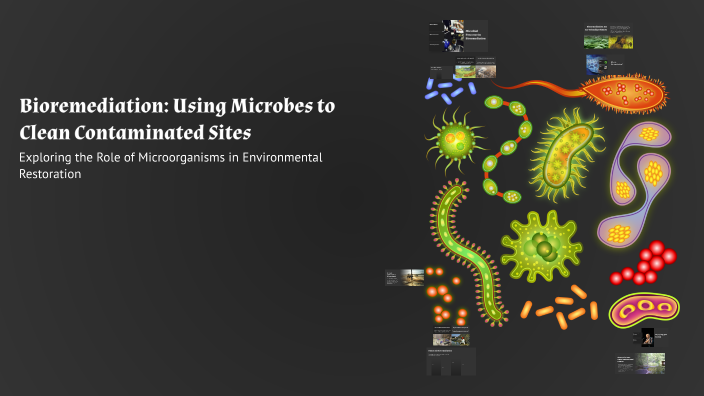Bioremediation: Using Microbes to Clean Contaminated Sites by Tupou ...