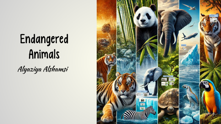 Endangered Animals by A on Prezi