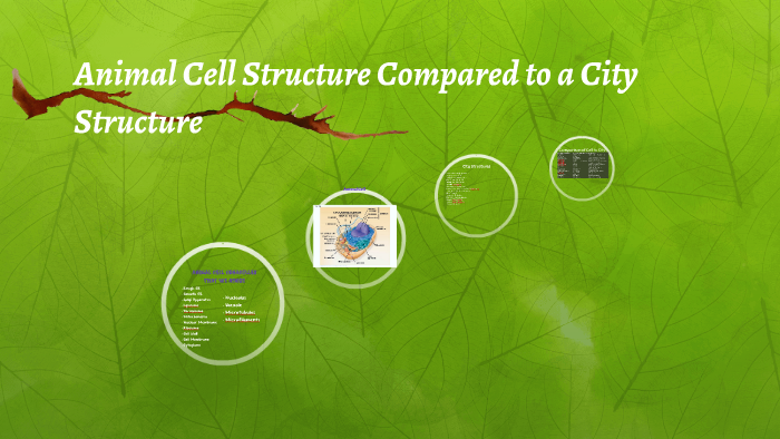 Cell Structure Compared to a City Structure by Wyatt Clark on Prezi