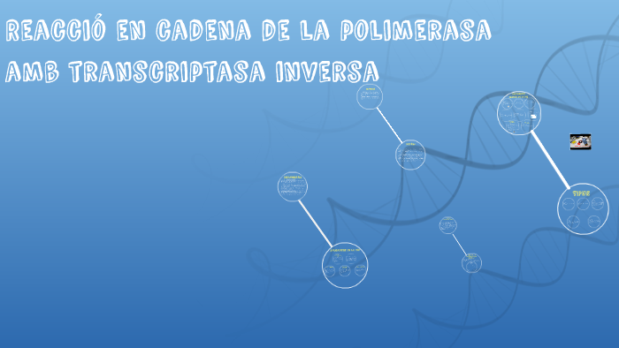 Reacció en cadena de la polimerasa amb transcriptasa inversa by Pere ...