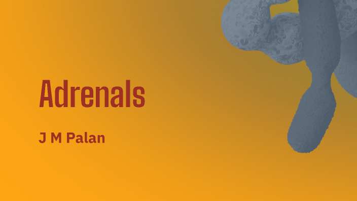 Understanding the Adrenal Glands by Mitul P on Prezi