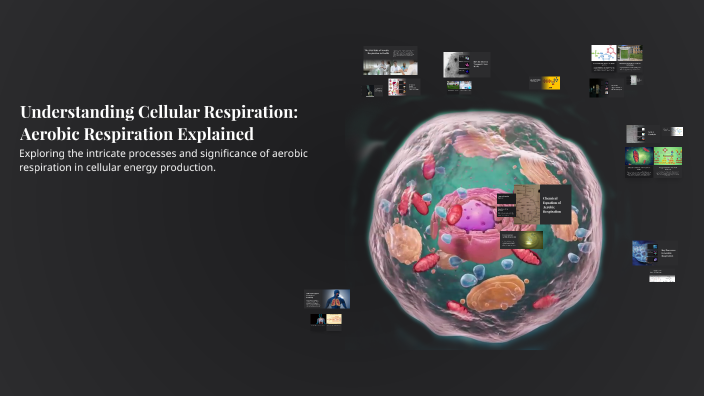 Understanding Cellular Respiration: Aerobic Respiration Explained by ...