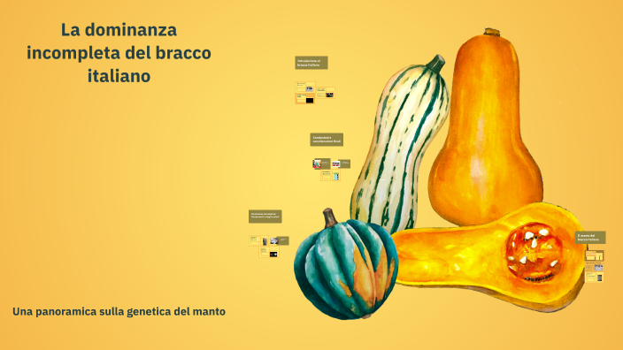 La dominanza incompleta del bracco italiano by Tommaso Neroni on Prezi
