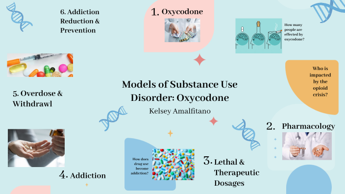 Models of Substance Use Disorder by Kelsey Amalfitano on Prezi