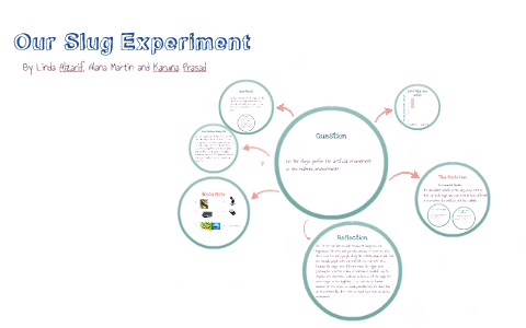 Our Slug Experiment by Linda Alzarif on Prezi