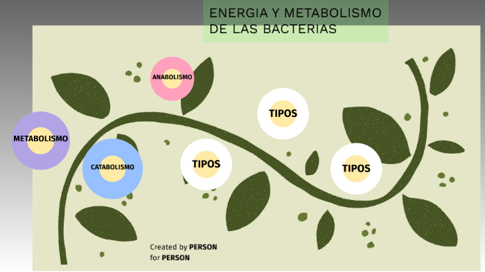 Metabolismo microbiano by Nicte Fernandez Mendez on Prezi