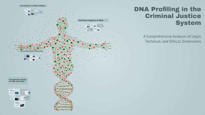 DNA Profiling in the Criminal Justice System by Aastha Sharma on Prezi