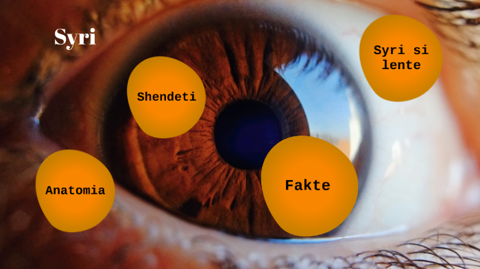 Syri dhe Ndertimi i tij by Arberi Shehu on Prezi