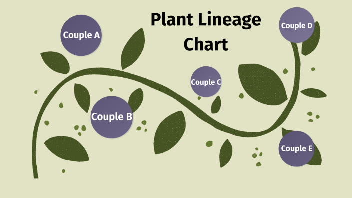 Plant Lineage Chart by Gabe Ross on Prezi
