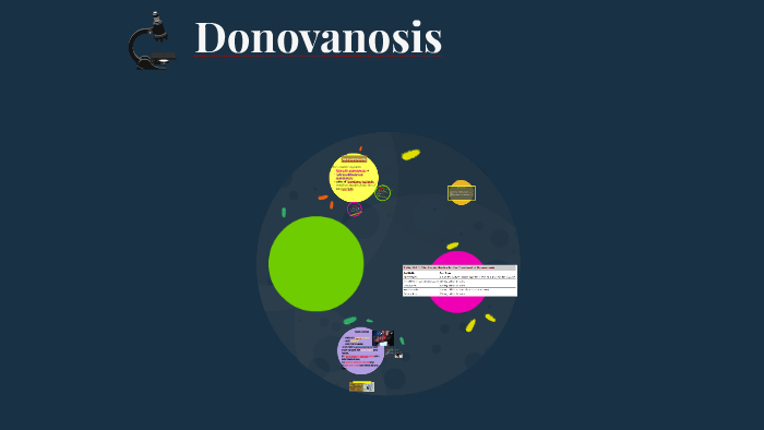 Donovanosis by mariam kavtaria on Prezi