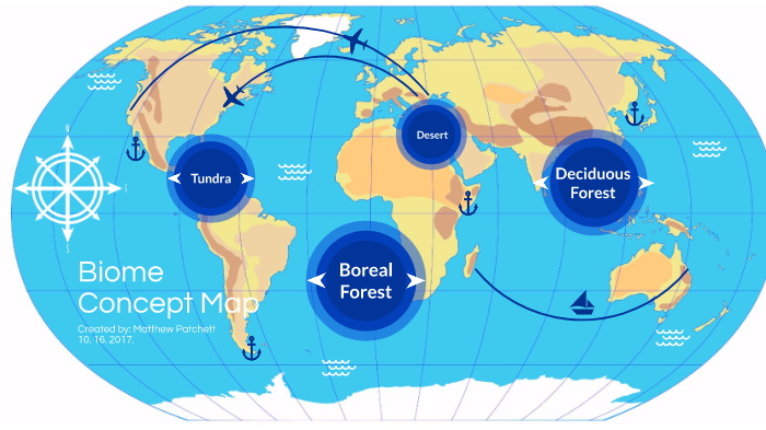 Biome Concept Map by Matthew Patchett on Prezi