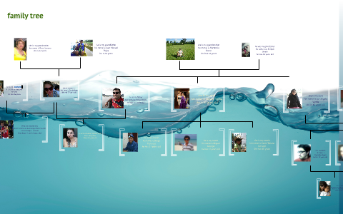 family tree by Vanessa Varela on Prezi