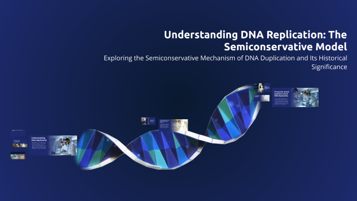 Understanding DNA Replication: The Semiconservative Model by Anitha ...