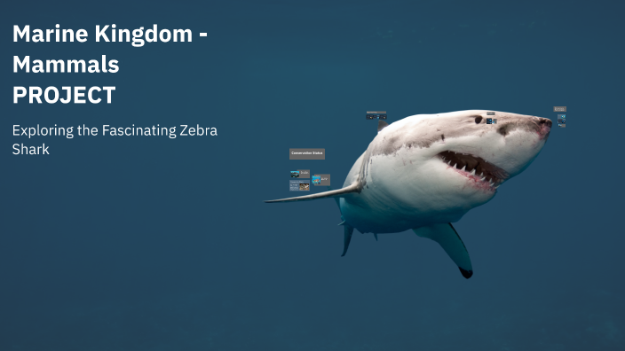 Marine Kingdom - Mammals PROJECT by Catherine Rodriguez on Prezi