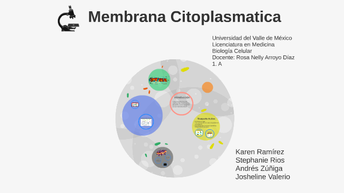Membrana Citoplasmatica by karen ramirez on Prezi