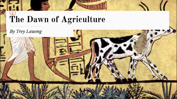 The Dawn of Agriculture by Morris Lawing on Prezi