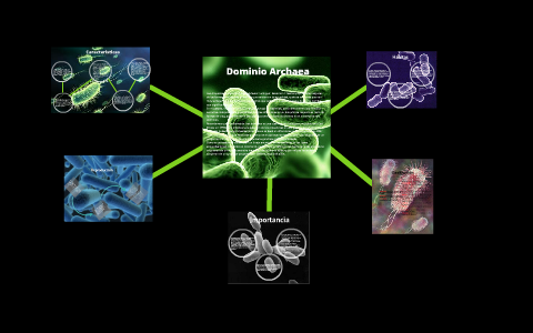 Reino Archaea by Alejandro Cruz on Prezi