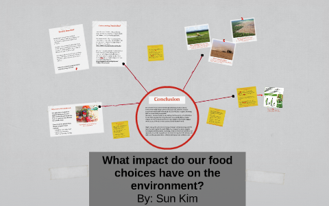 What impact do our food choices have on the environment? by Sun Kim on ...