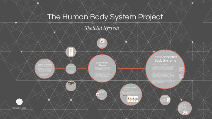 The Human Body Sysytem Project by Nicole Chou