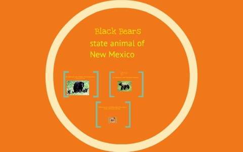 symbols of new mexico by esteban olivas