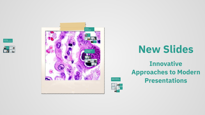 New Slides by Amanda DEHART on Prezi