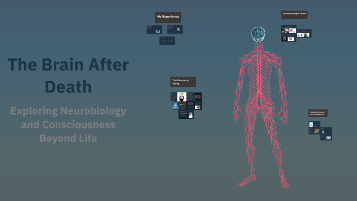 The Brain After Death by Harrison Allen on Prezi
