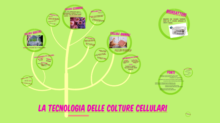 La Tecnologia delle Colture Cellulari by Francesca R. on Prezi