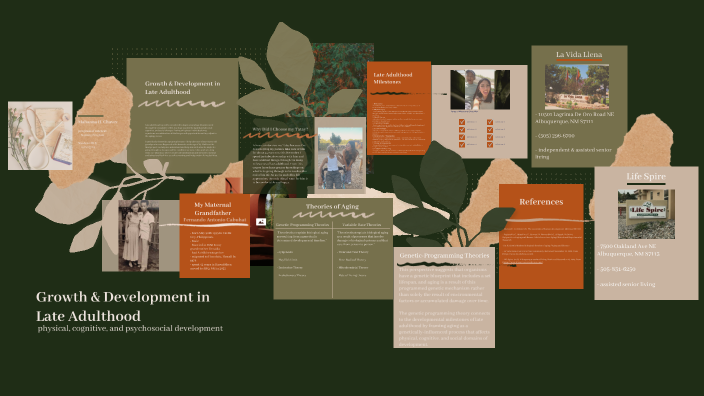 Growth & Development in Late Adulthood by mahanna chavez on Prezi