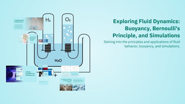 Exploring Fluid Dynamics: Buoyancy, Bernoulli's Principle, and ...