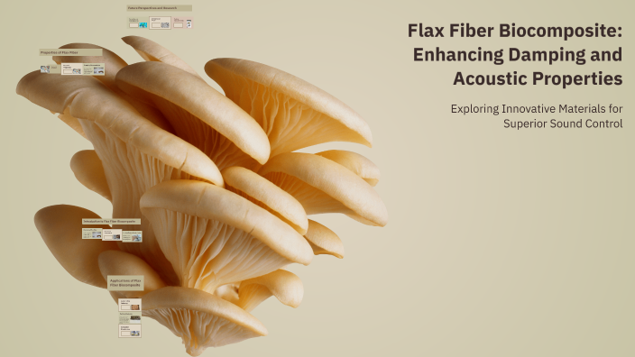 Flax Fiber Biocomposite: Enhancing Damping and Acoustic Properties by ...