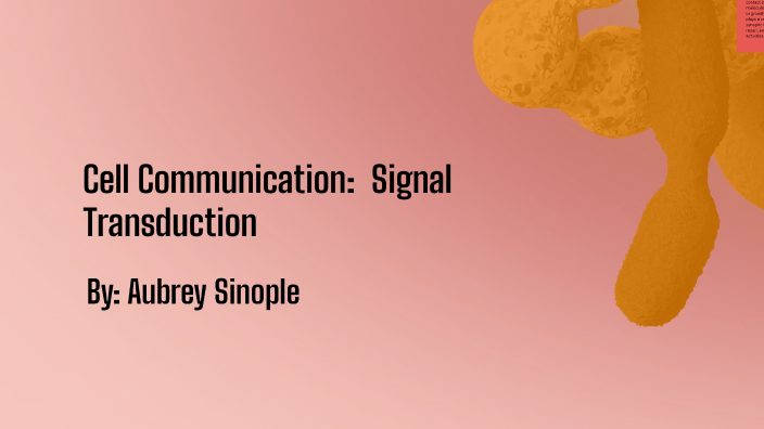 Cell Communication: Understanding Signal Transduction by Aubrey Sinople on Prezi