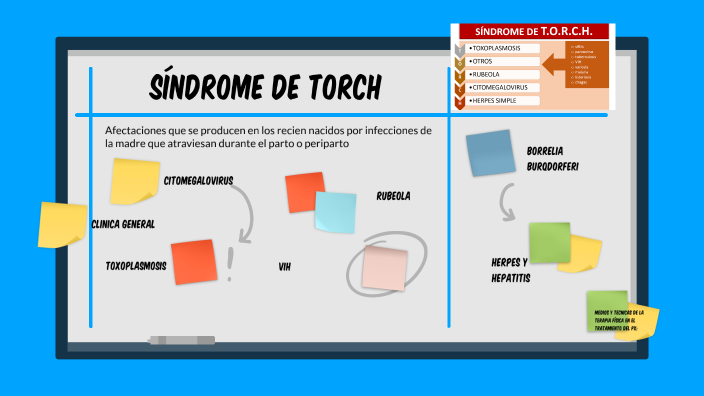 SÍNDROME DE TORCH by Andrea Fernandez on Prezi