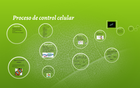 Proceso de control celular by Ana GMD