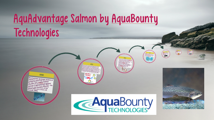 AquAdvantage Salmon by AquaBounty Technologies by Rjaa Ahmed on Prezi