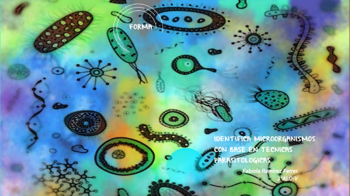 MI PARASITO by Fabiola Ferrer on Prezi Next