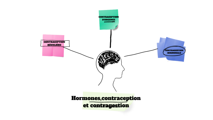 Hormones, contraception et contragestion by youyou mbk on Prezi