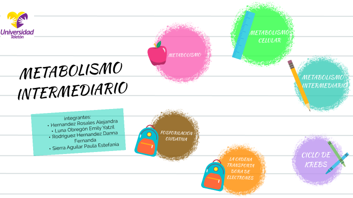 Metabolismo Intermediario by Alejandra Hernández Rosales on Prezi