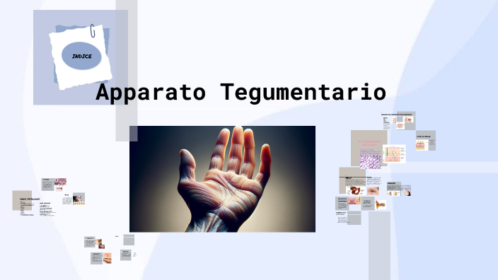 The Integumentary System by Liya H on Prezi