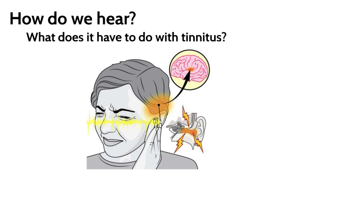 How We Hear? (tinnitus) by Hannah Rae Vaden on Prezi